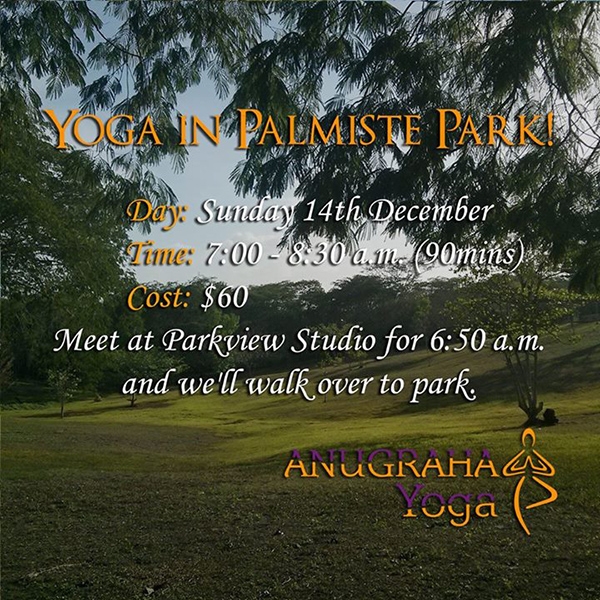 Yoga In Palmiste Park ID 12772