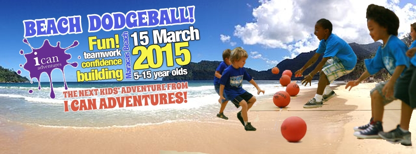 Beach Dodgeball ID 13346