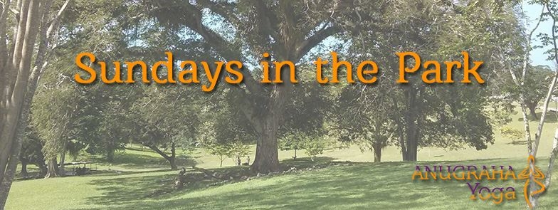 Yoga In Palmiste Park ID 16496