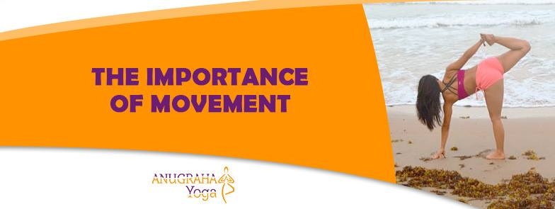 Importance of Movement Workshop ID 17651