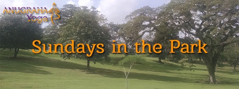 Yoga In Palmiste Park ID 17733