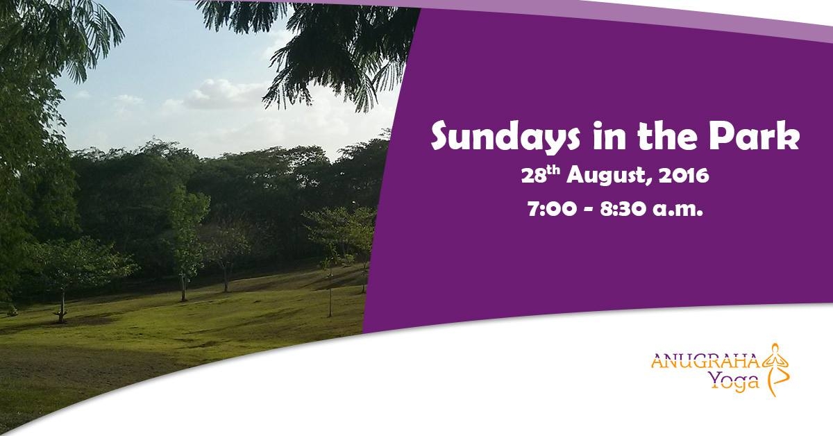 Yoga in Palmiste Park ID 18391