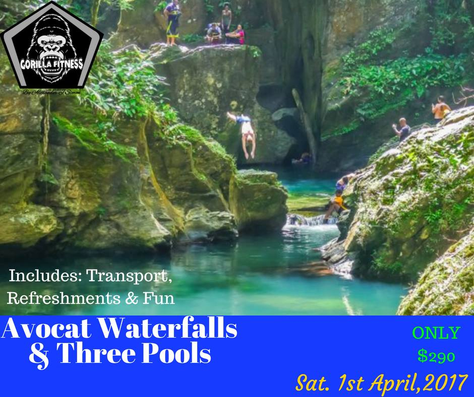 Outdoor Adventures with Gorilla Fitness Inc. (Avocat Hike) ID 20320
