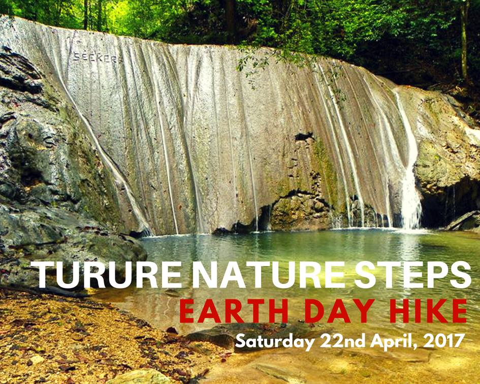 Turure Nature Steps - Earth Day Hike 2017 ID 20394