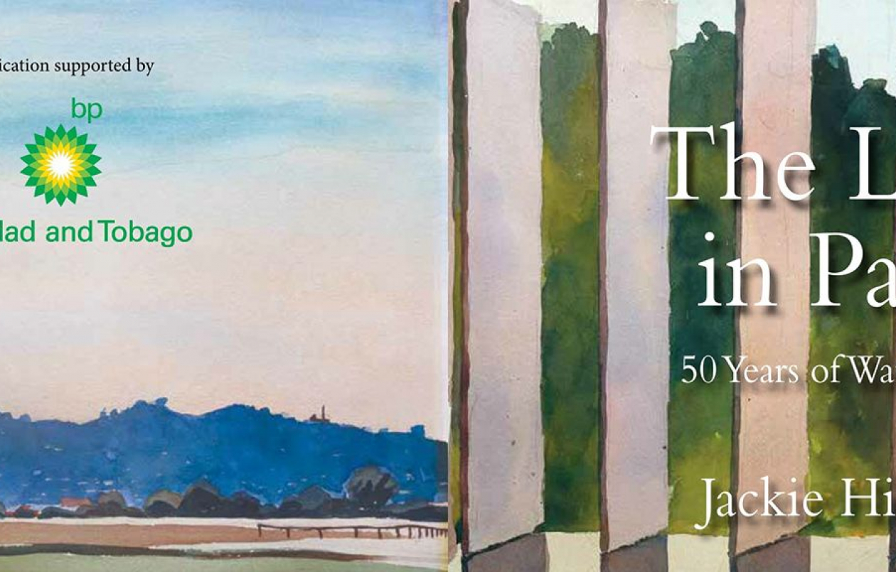 The Light In Paint: 50 Years of Watercolours by Jackie Hinkson ID 21556