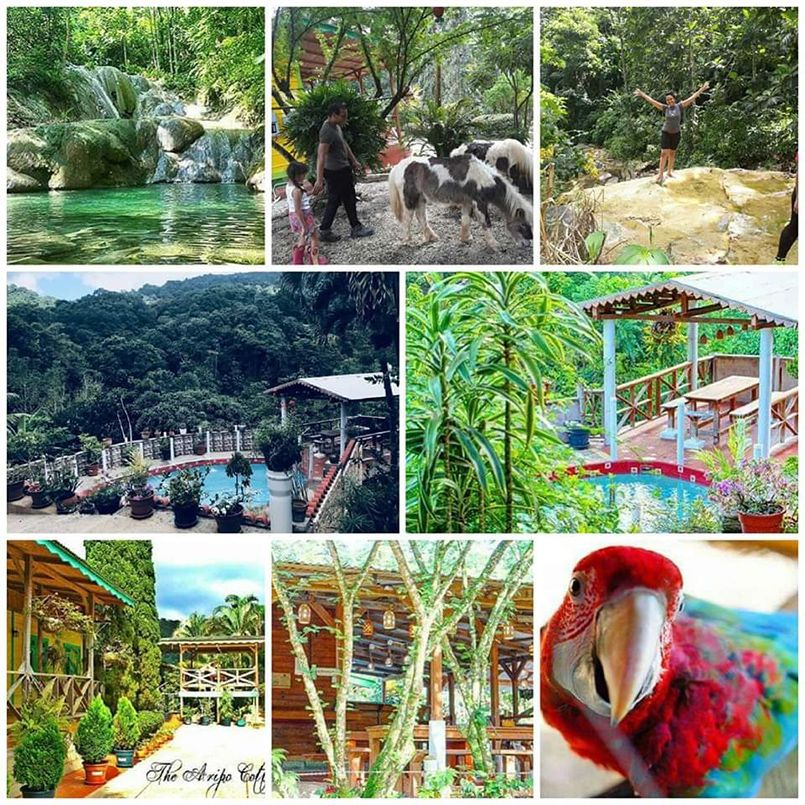 Roadtrip: Aripo Cottage Resort, River and Waterfall - 26.1.20 ID 25771