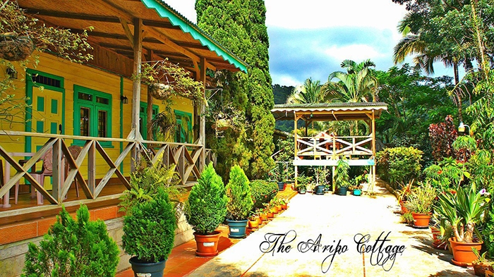 The Aripo Cottage Eco Resort in Arima - ID 1164