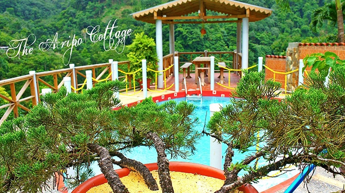 The Aripo Cottage Eco Resort in Arima - ID 1164