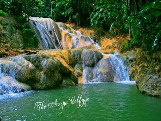 The Aripo Cottage Eco Resort in Arima - ID 1164