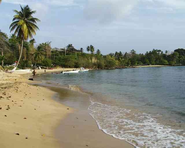 Mt Irvine Bay in Buccoo - ID 69