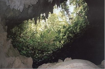 Aripo Caves in Valencia - ID 77