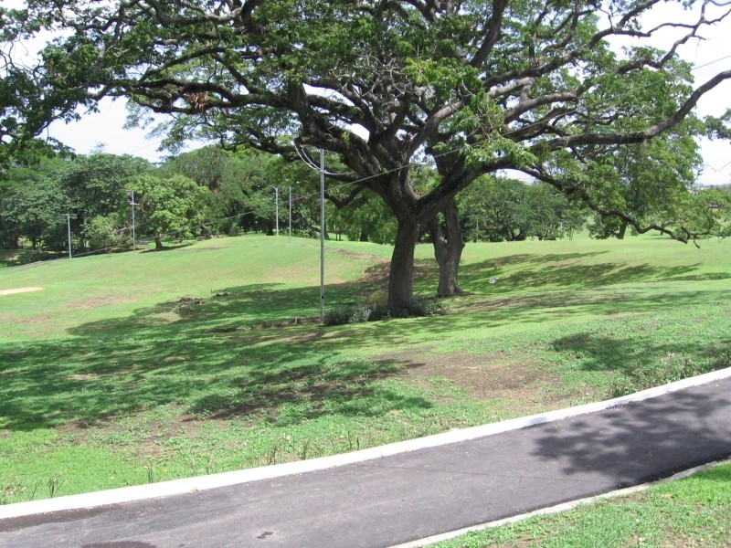 Palmiste National Park in San Fernando - ID 99